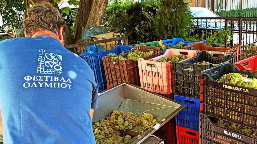 Η χαρούμενη γιορτή του τρύγου ξεκίνησε στην Πιερία γεμάτη προσδοκίες ...
